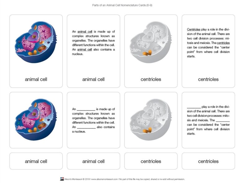Parts of an Animal Cell Puzzle With Nomenclature Cards (6-9 ...