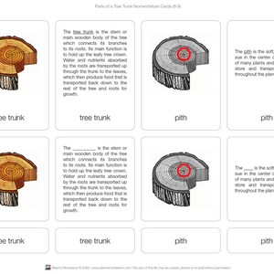 Parts of a Tree Trunk Puzzle With Nomenclature Cards 6-9 | Montessori ...