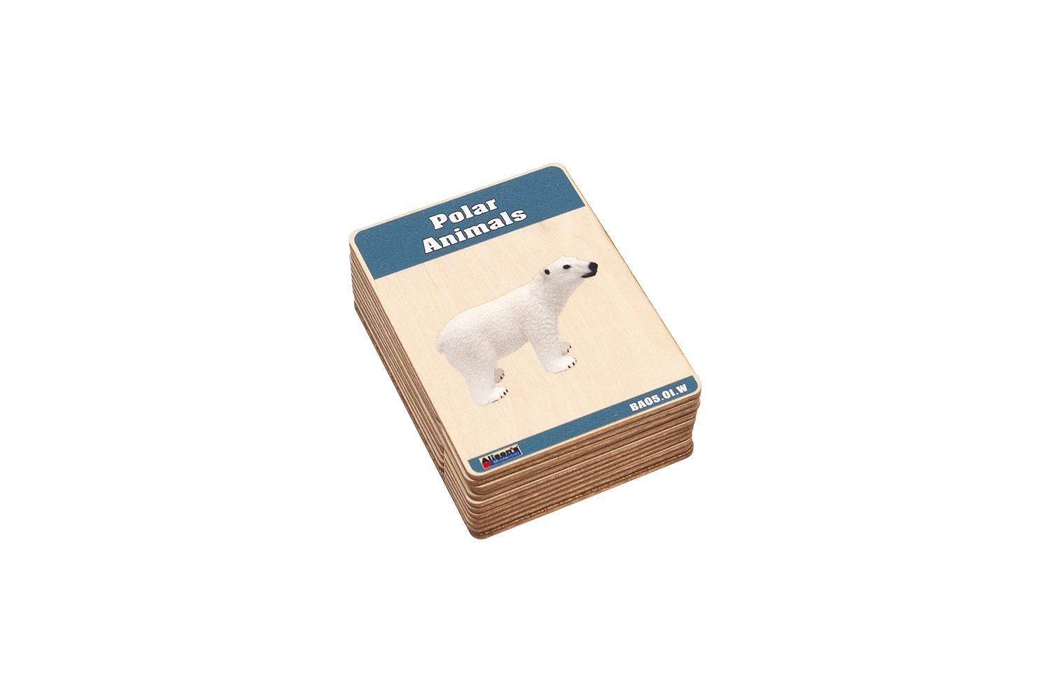 Polar Animals Montessori Cards: Geography Nomenclature Three-part Card ...
