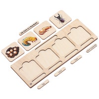 Wooden Animals of the Continents Animals of the World Montessori ...