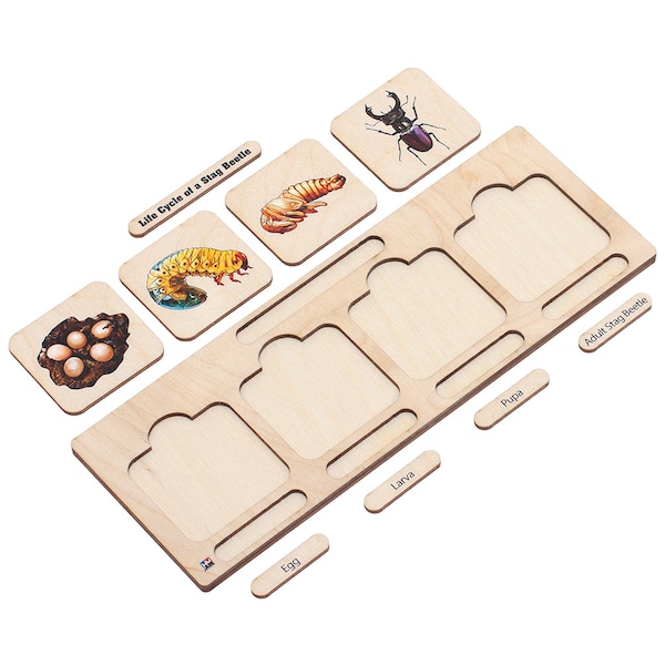 Wooden Animals of the Continents Animals of the World Montessori ...