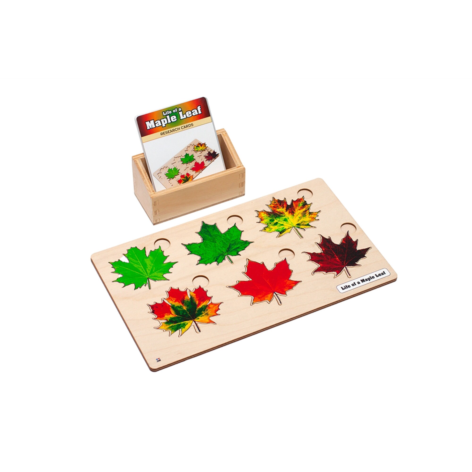 Life of a Maple Leaf Puzzle Montessori Leaf Puzzle Wooden Leaf Puzzles ...