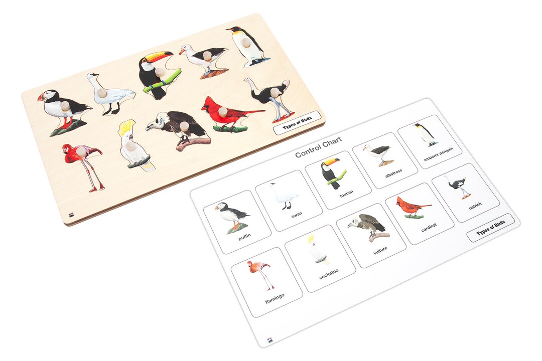 Types of Birds Puzzle | Montessori Materials | Montessori Zoology ...