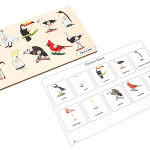 Types of Birds Puzzle | Montessori Materials | Montessori Zoology ...