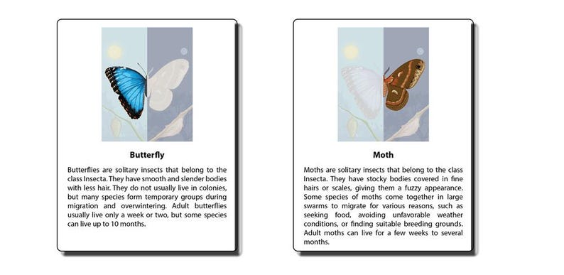 Butterfly Vs Moth Chart With Cards – Montessori Zoology Material for ...