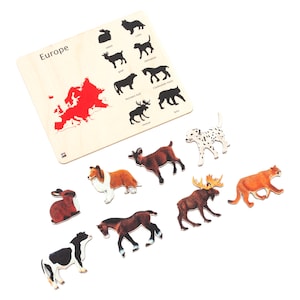 Wooden Animals of the Continents | Animals of the World | Montessori ...