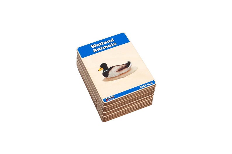 Wetlands Animals Montessori Nomenclature Cards: Three-part Learning - Etsy