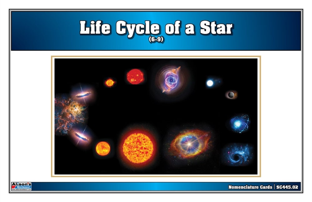 Life Cycle of a Star Puzzle With Nomenclature Cards 6-9 - Etsy