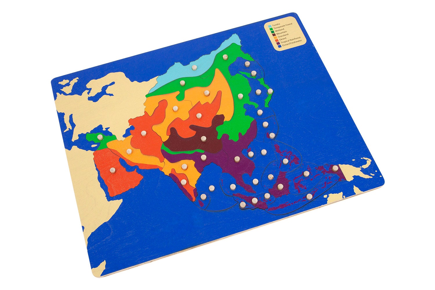 Biomes Puzzle Map of Asia Montessori Material Montessori Geography ...