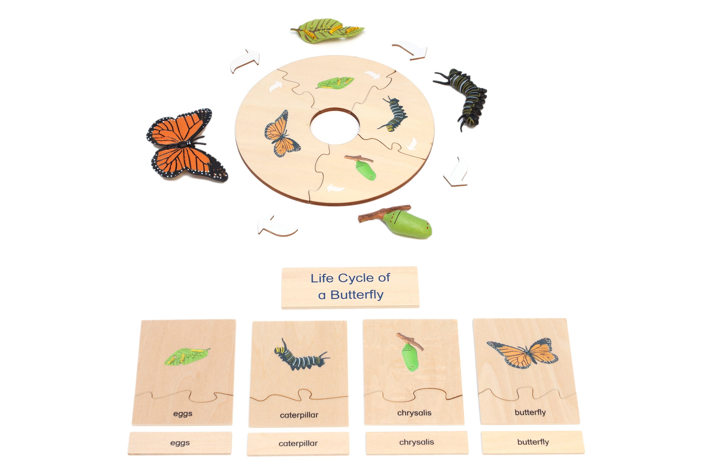 Life Cycle Set of a Butterfly - Montessori Life Cycle - Butterfly Life ...