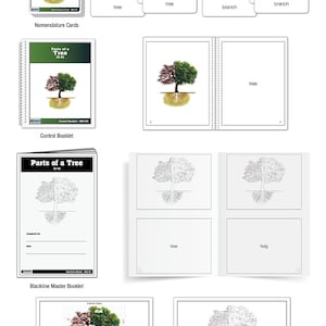 Parts of a Tree Puzzle With Nomenclature Cards (printed) (3-6 ...