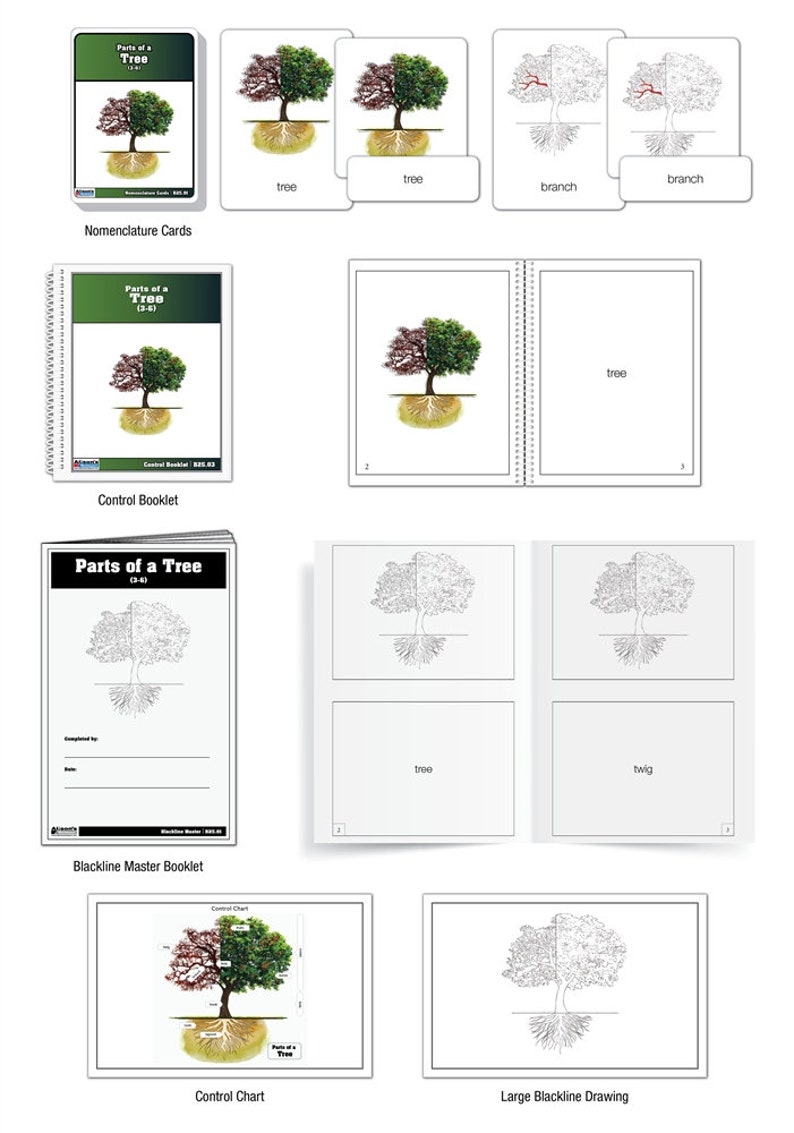 Parts of a Tree Puzzle With Nomenclature Cards printed 3-6 Montessori ...