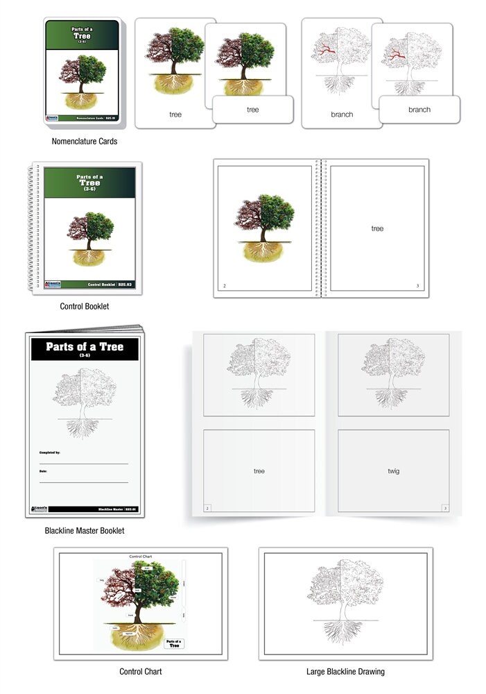 Parts of a Tree Puzzle With Nomenclature Cards printed 3-6 Montessori ...
