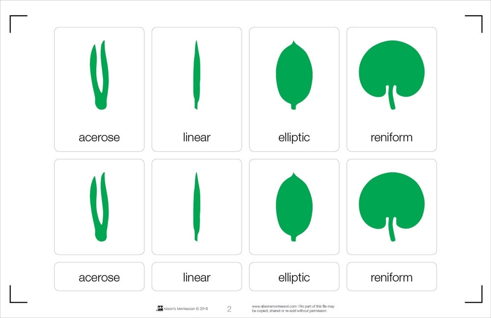 Types of Leaves Puzzle With Nomenclature Cards 3-6 printed Montessori ...