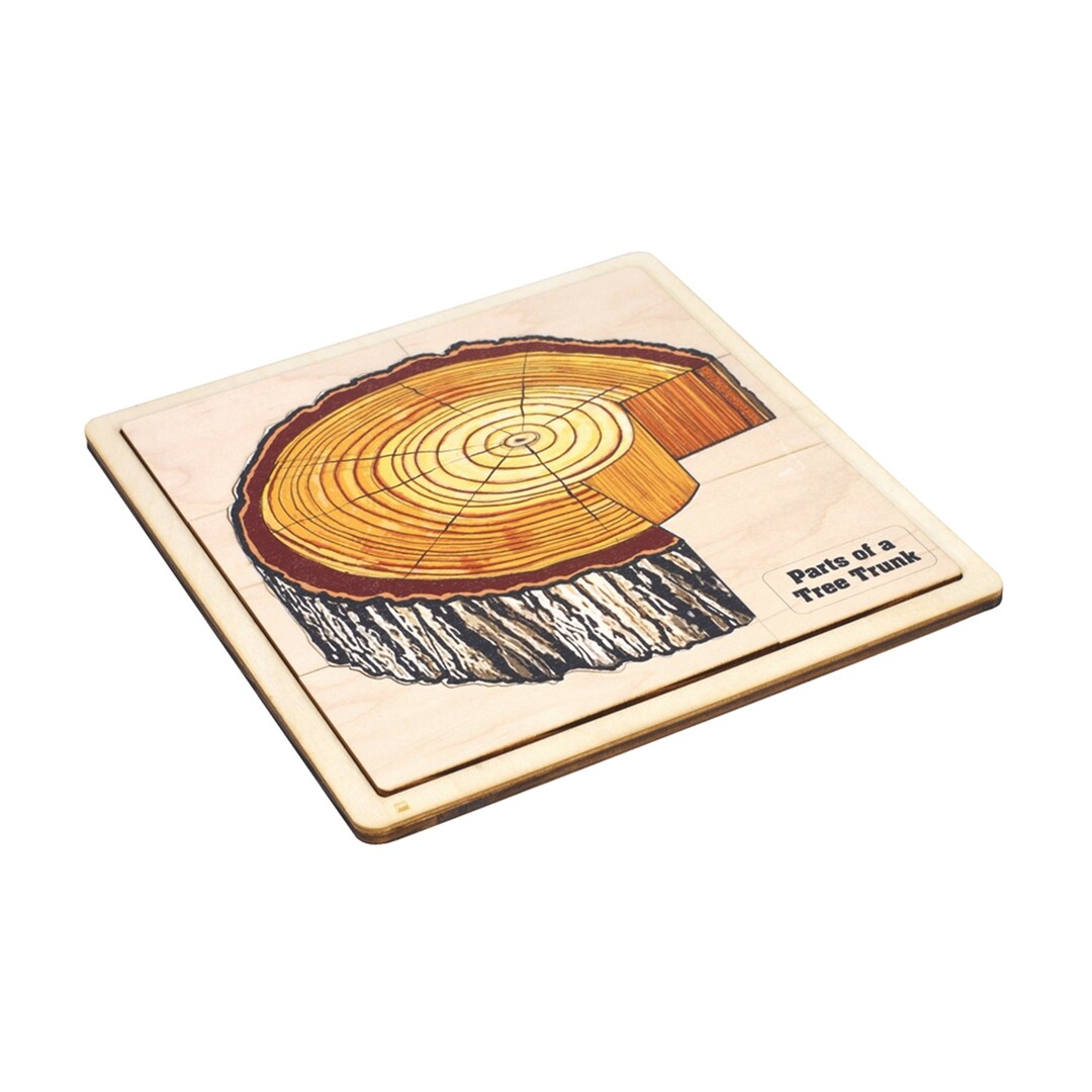 Parts of a Tree Trunk Puzzle - Educational Toy - Montessori Botany ...
