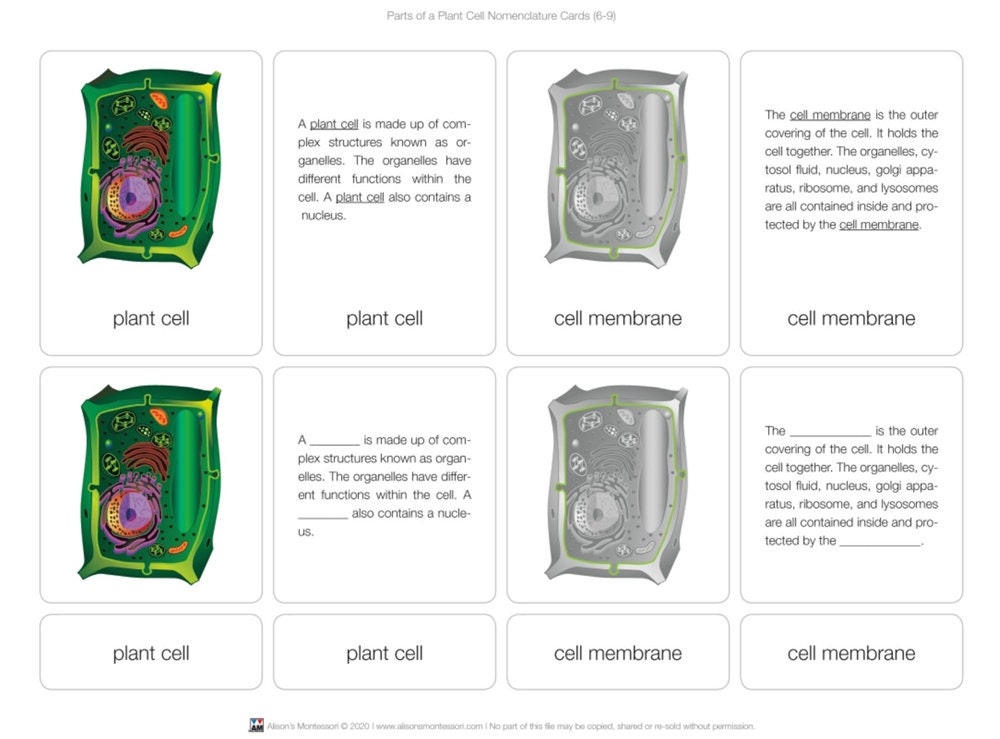 Parts of a Plant Cell Puzzle With Nomenclature Cards 6-9 Montessori ...