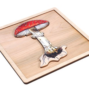 Parts of a Mushroom Puzzle With Nomenclature Cards (3-6) | Montessori ...