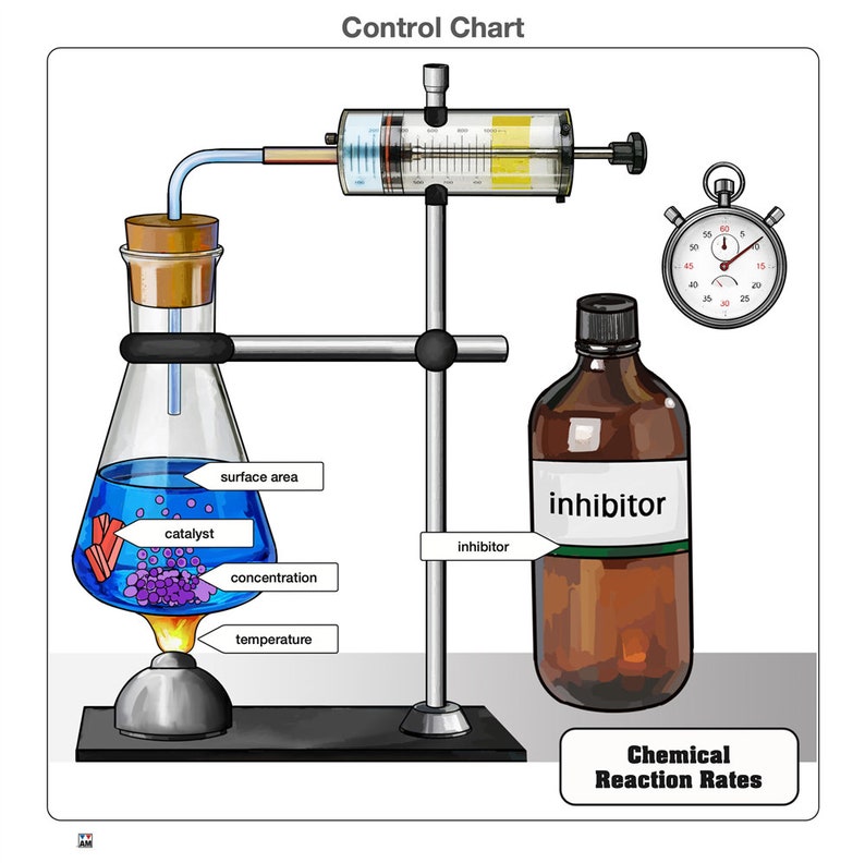 Chemical Reaction Rates - Complete Set | Chemical Reaction Rates ...