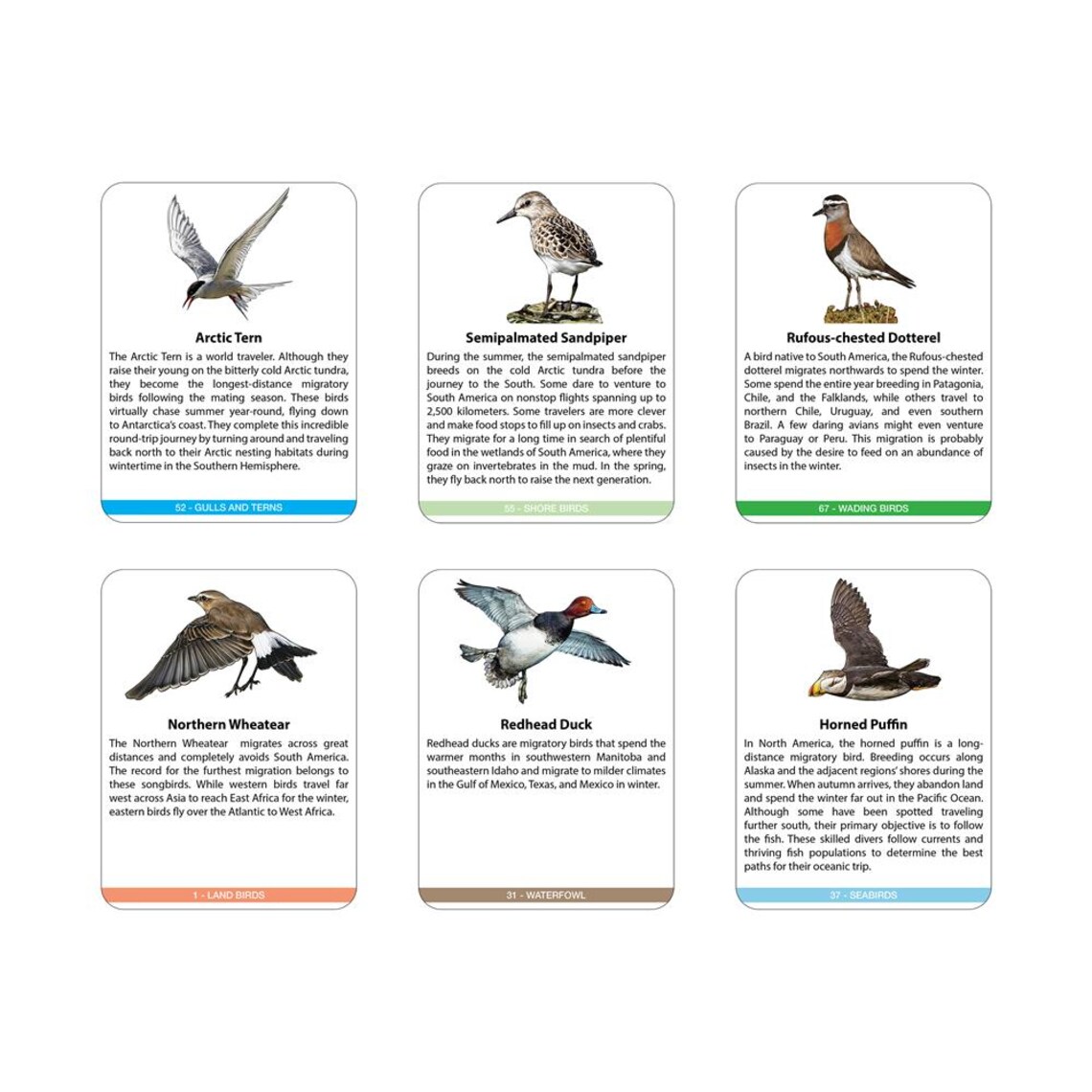 Bird Migration Chart of the Americas: Montessori Science Materials - Etsy