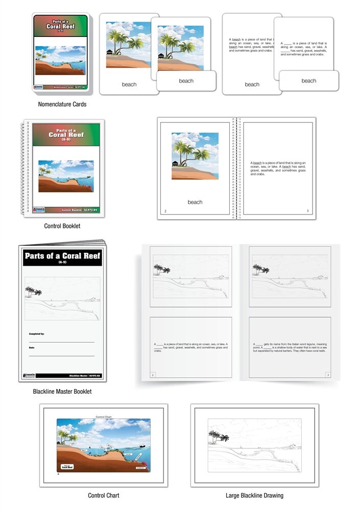 Parts of a Coral Reef Puzzle With Nomenclature Cards 6-9 | Montessori ...