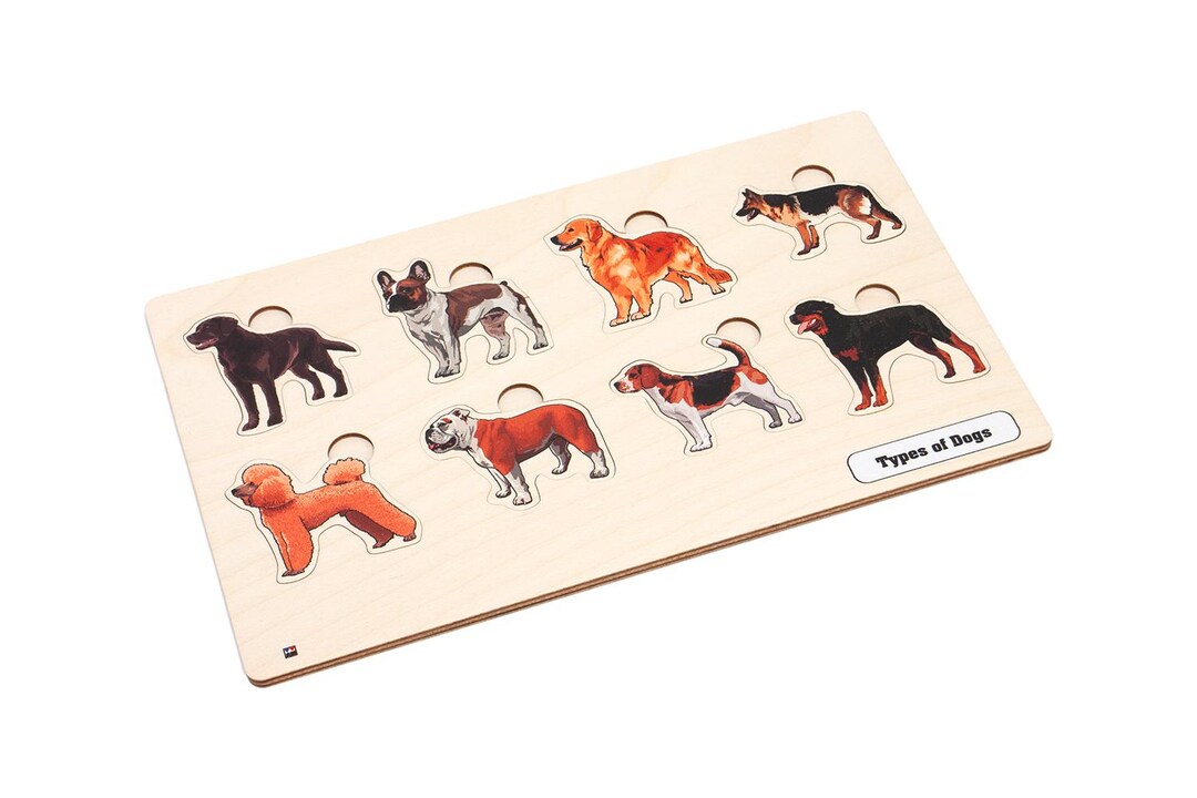 Types of Dogs Puzzle – Montessori Zoology Material for Elementary ...