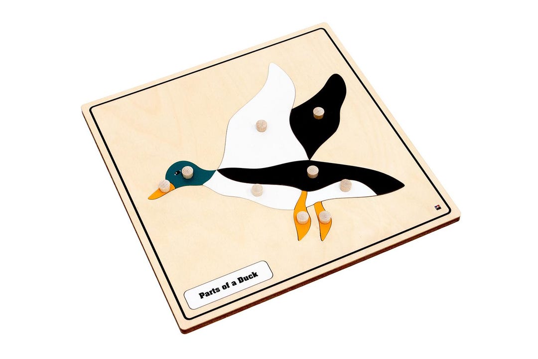 Parts of a Duck Knobbed Puzzle | Montessori Puzzle | Infant & Toddler ...