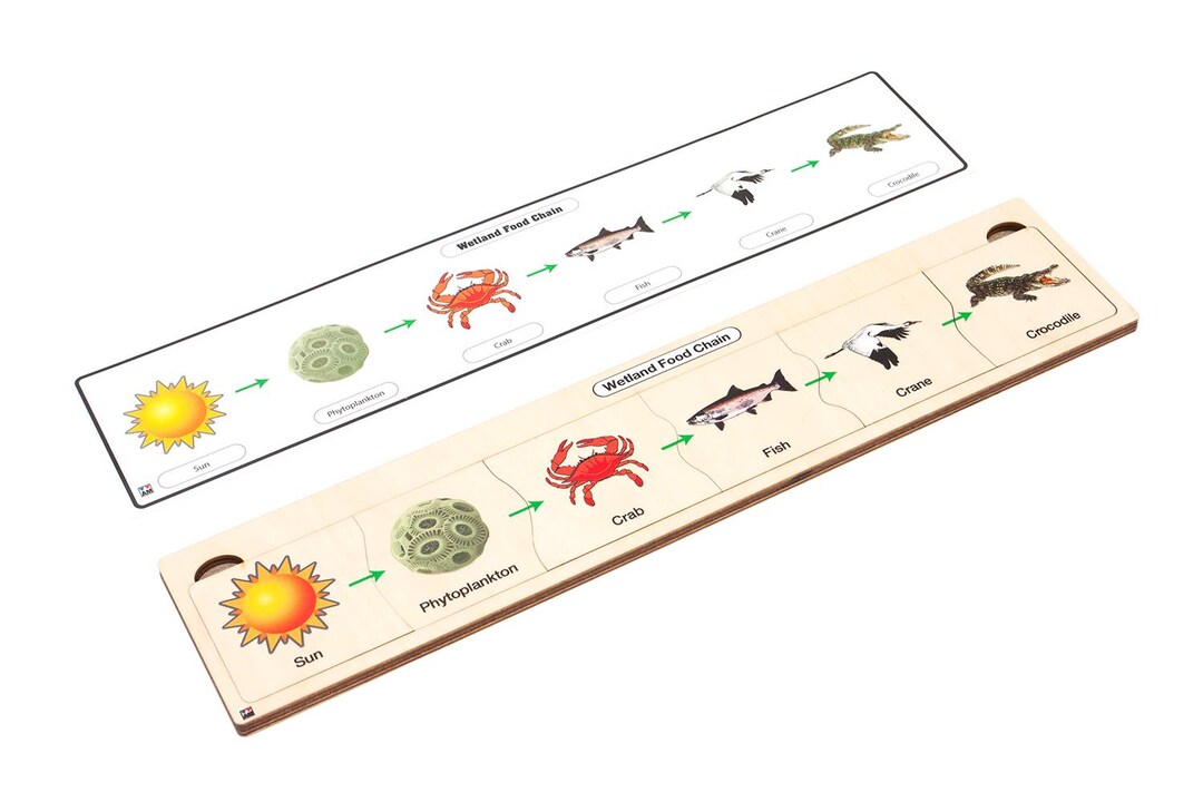 Wetland Food Chain Wooden Puzzle: Montessori STEM Toy - Etsy