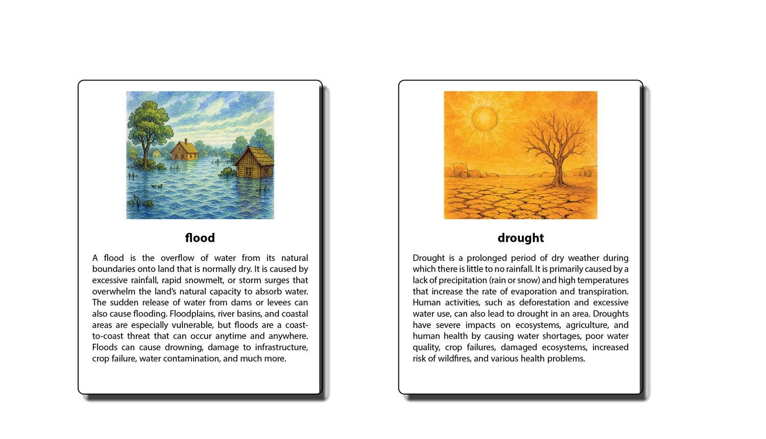 Types of Natural Disasters Puzzle Complete Set – Montessori Science ...