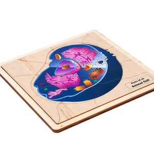Parts of an Animal Cell Puzzle With Nomenclature Cards (3-6 ...