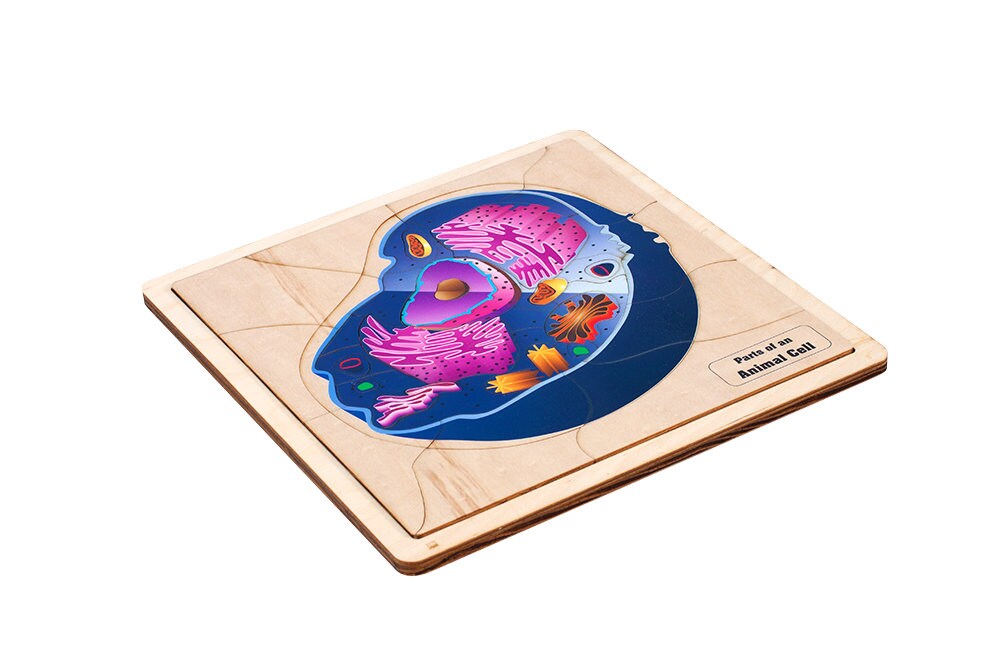 Parts of an Animal Cell Puzzle With Nomenclature Cards 3-6 Montessori ...