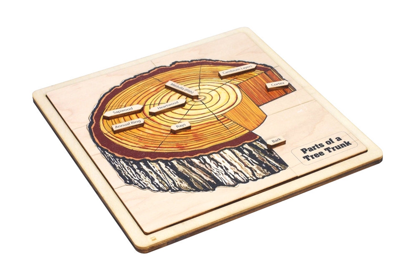 Parts of a Tree Trunk Puzzle With Nomenclature Cards 6-9 | Montessori ...