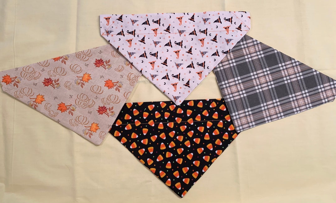 Fall Halloween Dog Collar, Bows, Bandanas Cutest Pumpkin in the Patch ...