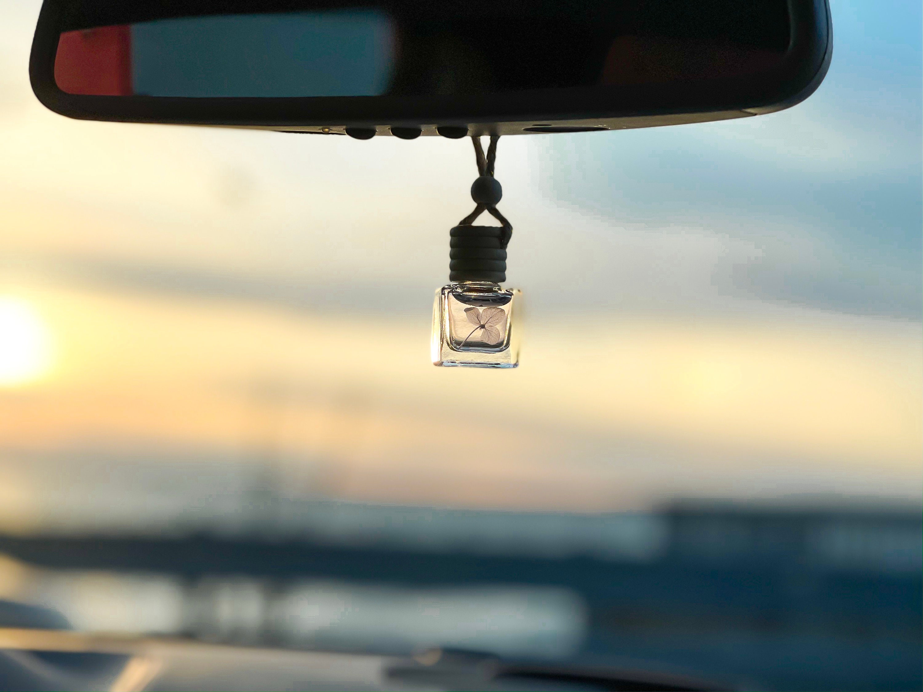 Hanging Car Diffuser With Dried Flowers Dried Flower Car Air - Etsy