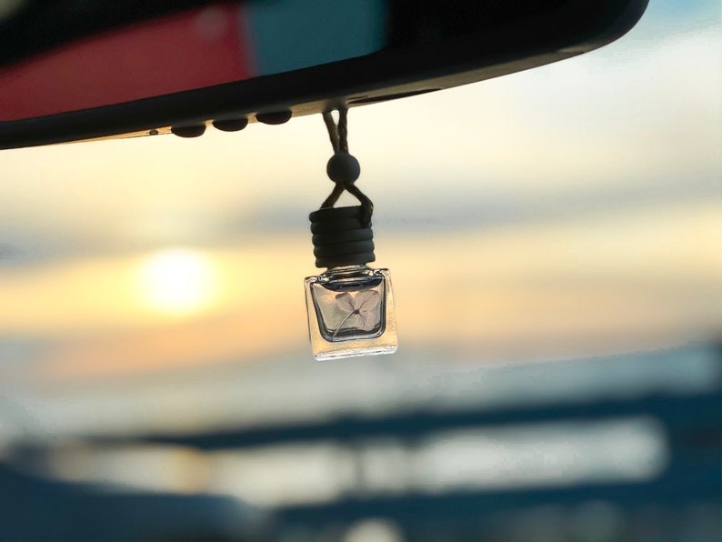 Hanging Car Diffuser With Dried Flowers Dried Flower Car Air - Etsy