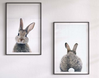 Bunny Art Print | Etsy