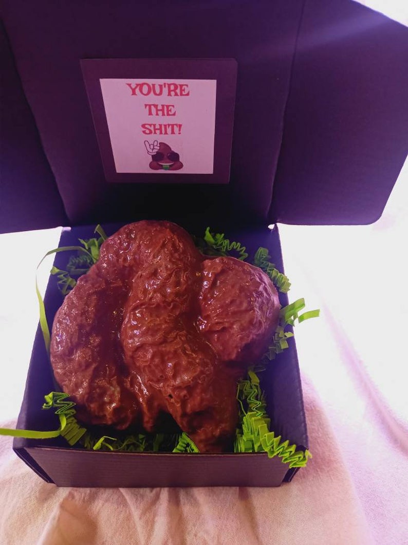 You're the Shit Huge Chocolate Gag Gift Shipped Anonymously or With ...