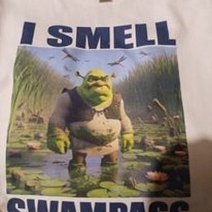 Shrek I Smell Swampass Funny Graphic T-shirt - Etsy