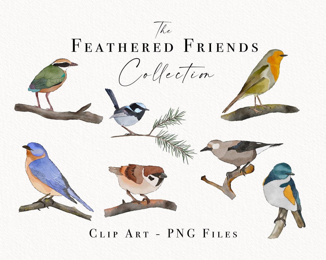 Watercolour Feathered Friends Clip Art - Birds Download- Instant ...