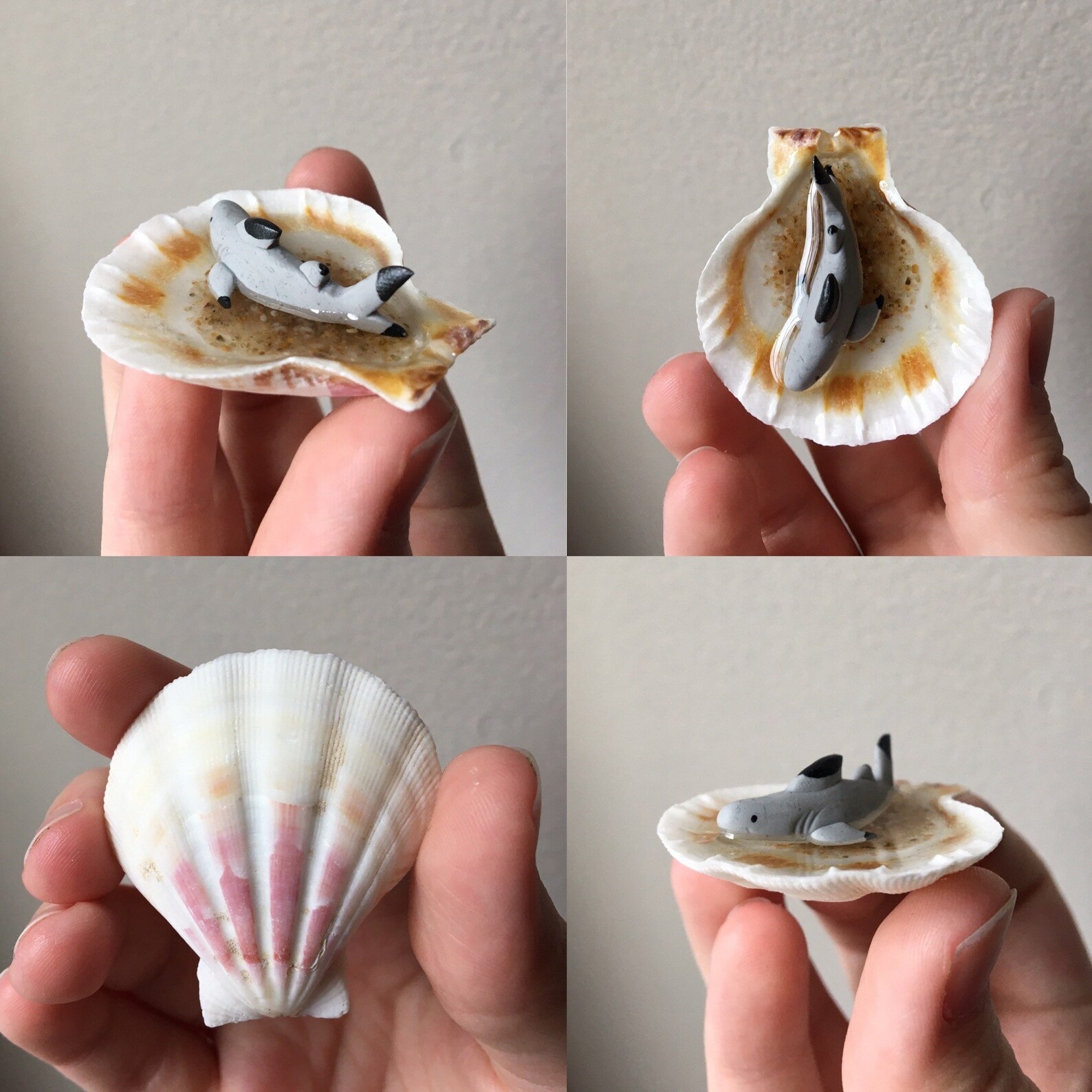 Miniature Sea Creatures in Shells With Optional Magnet - Etsy