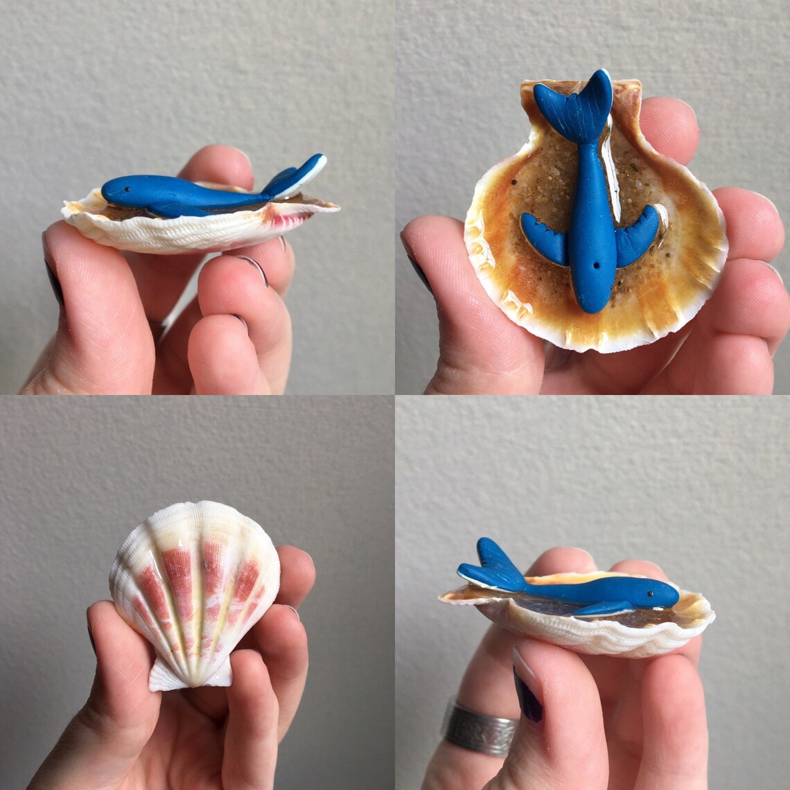 Miniature Sea Creatures in Shells With Optional Magnet - Etsy