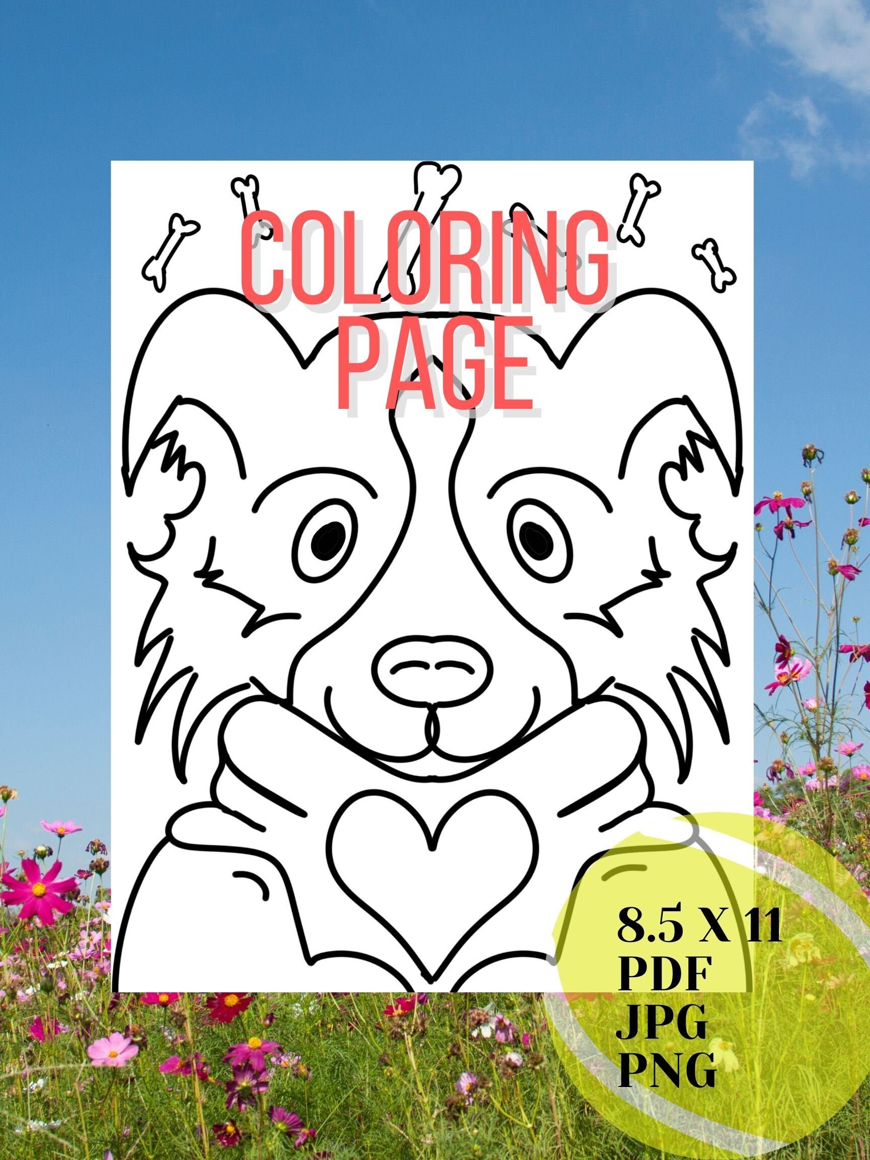 Border Collie Coloring Page Dog Coloring Page | Etsy
