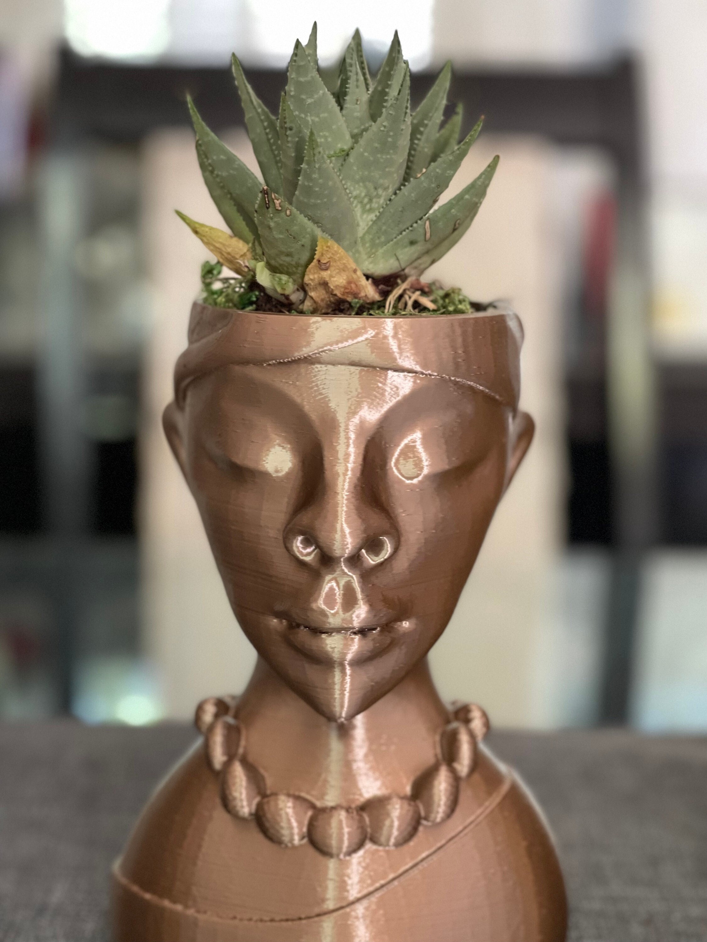 African Woman Head Planter, Face, Pot - Etsy
