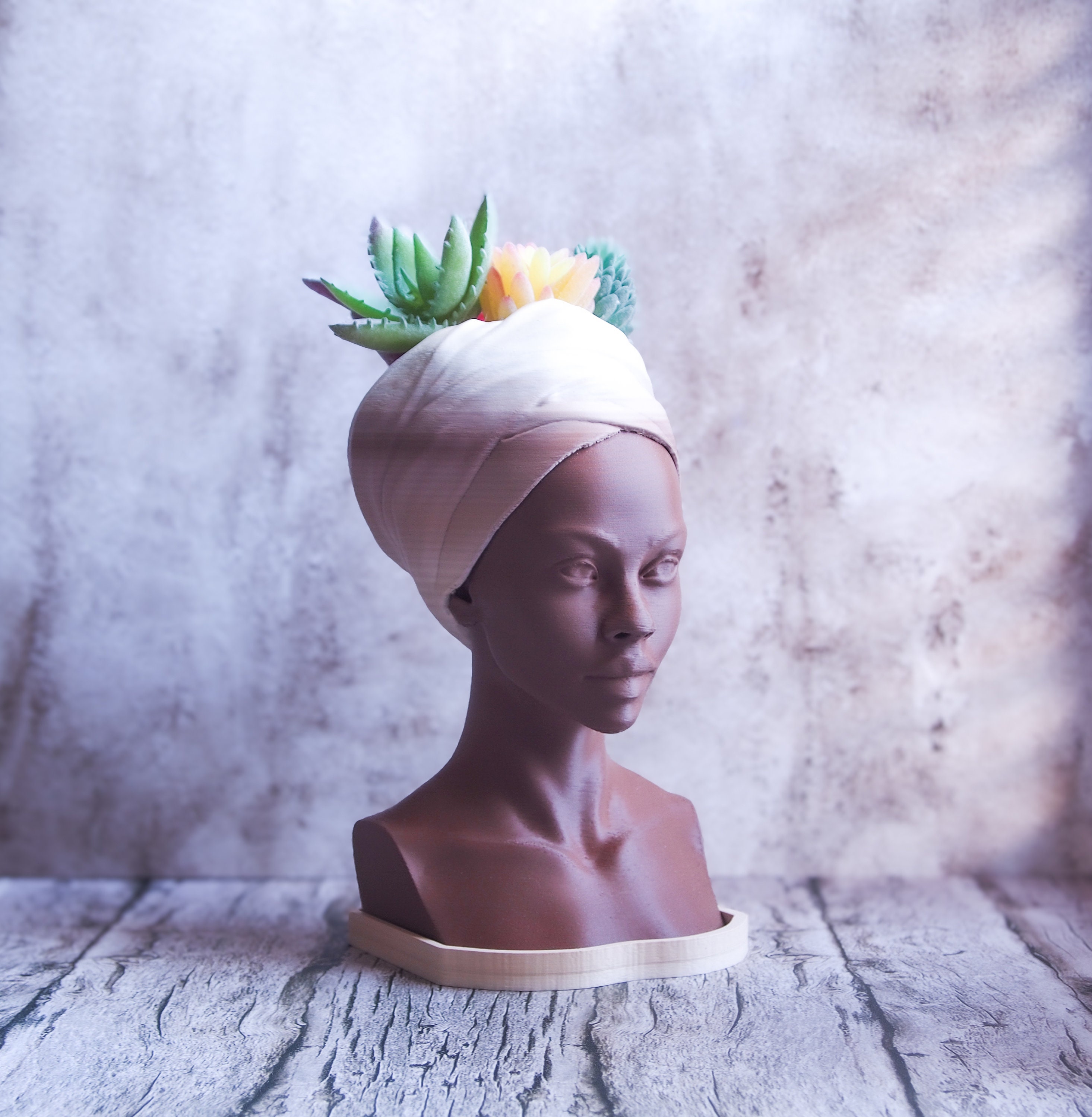 African Woman Face Succulent Planter Earth Tones Colors African ...