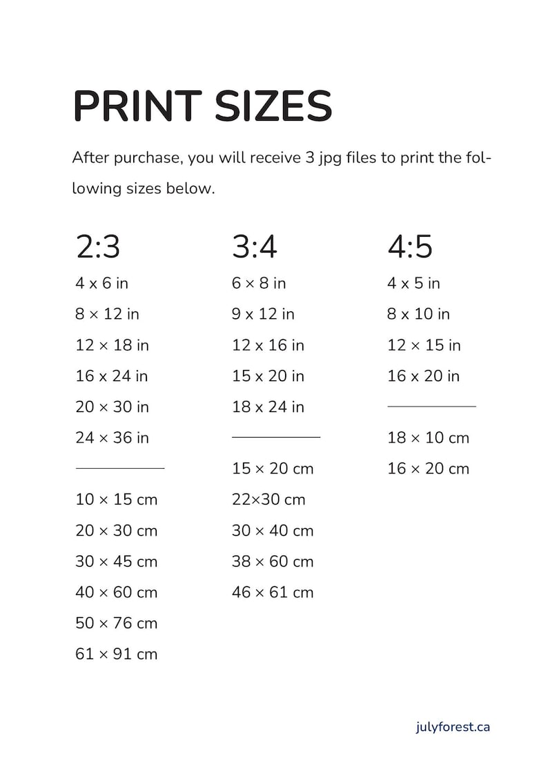 Japan Shinkansen Network Map Poster (digital Download) - Etsy