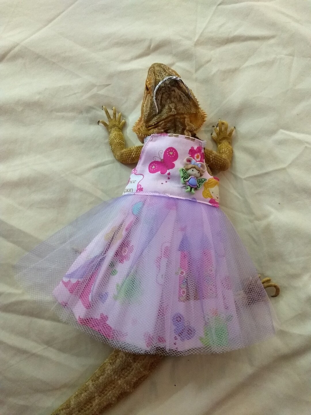 Fairy Princess Bearded Dragon Costume Dress MADE IN AMERICA - Etsy