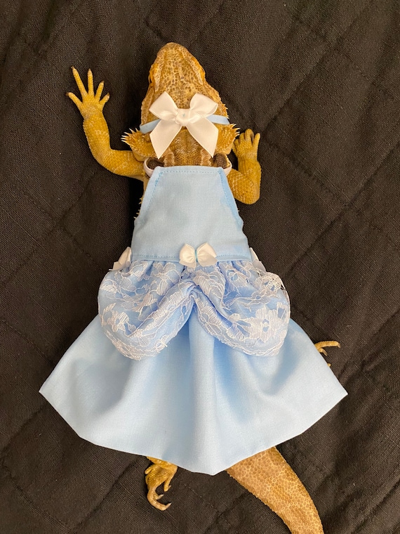 Cinderella Princess Bearded Dragon Costume Dress MADE IN - Etsy