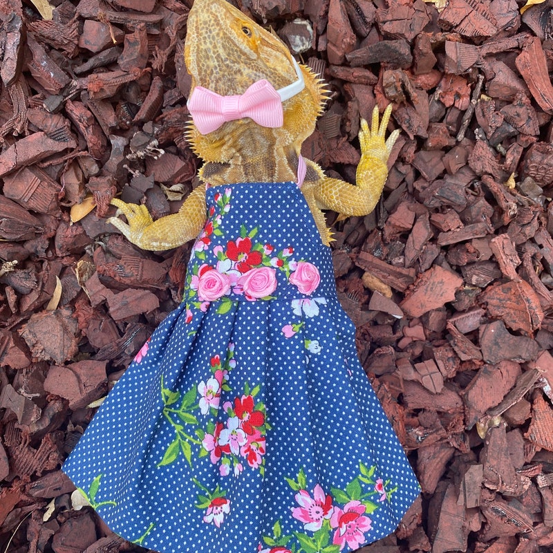 Bearded Dragons Dresses - Etsy