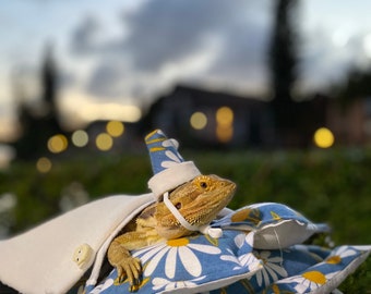 Bearded Dragon Bed 6pcs MADE IN AMERICA | Etsy