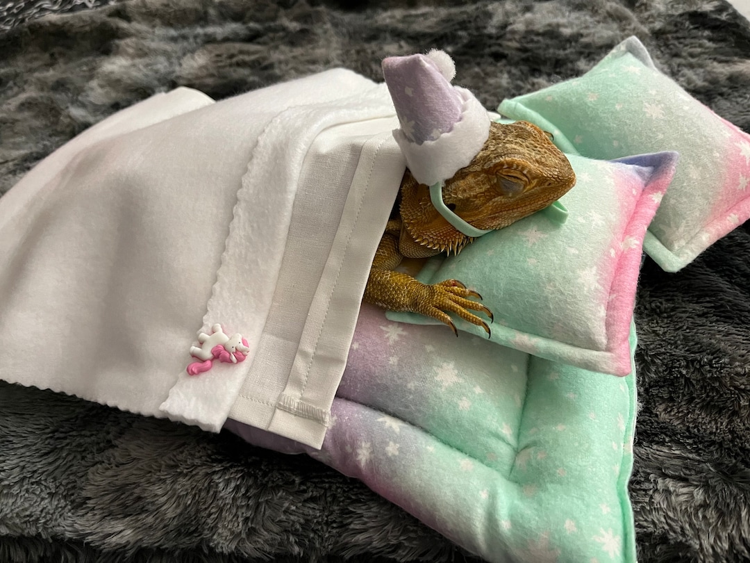Bearded Dragon Bed (6pcs) MADE IN AMERICA - Etsy