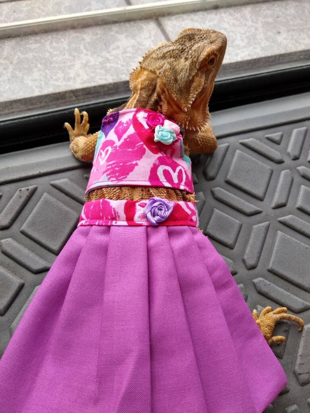 Saint Valentin Dragon Barbu Crop Top Set FABRIQUÉ EN AMÉRIQUE - Etsy France